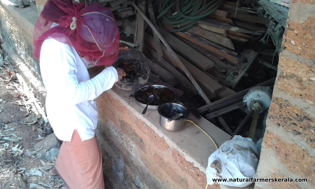 How to extract Small(Dammer) Bee Honey and its Wax – Natural Farmers Kerala