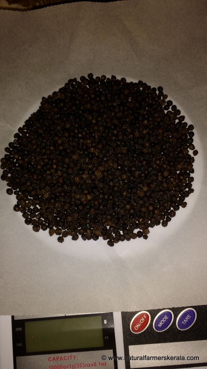 Malabar - Kerala Black Pepper - Natural Farmers Kerala