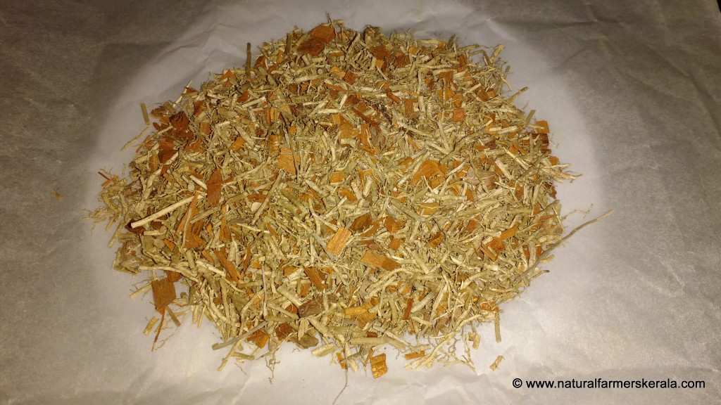 How to Naturally Purify Well & Drinking Water - Natural Farmers Kerala