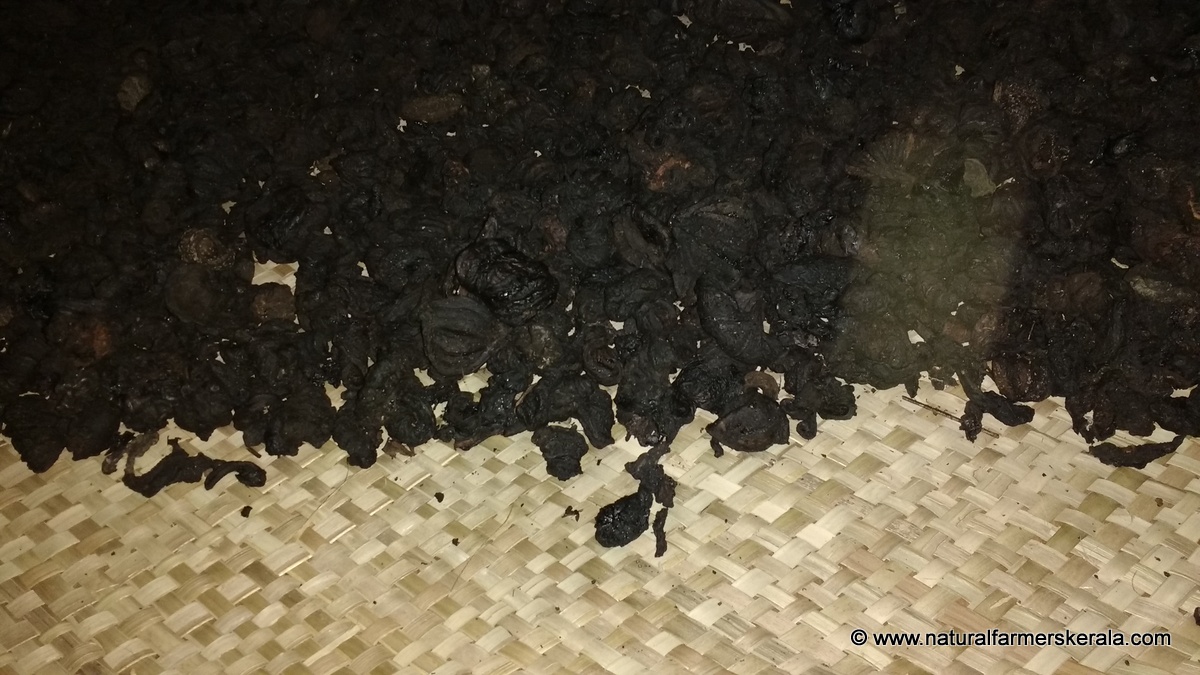 Buy Whole Garcinia Cambogia - Malabar Tamarind (Kudam Puli) - Natural ...