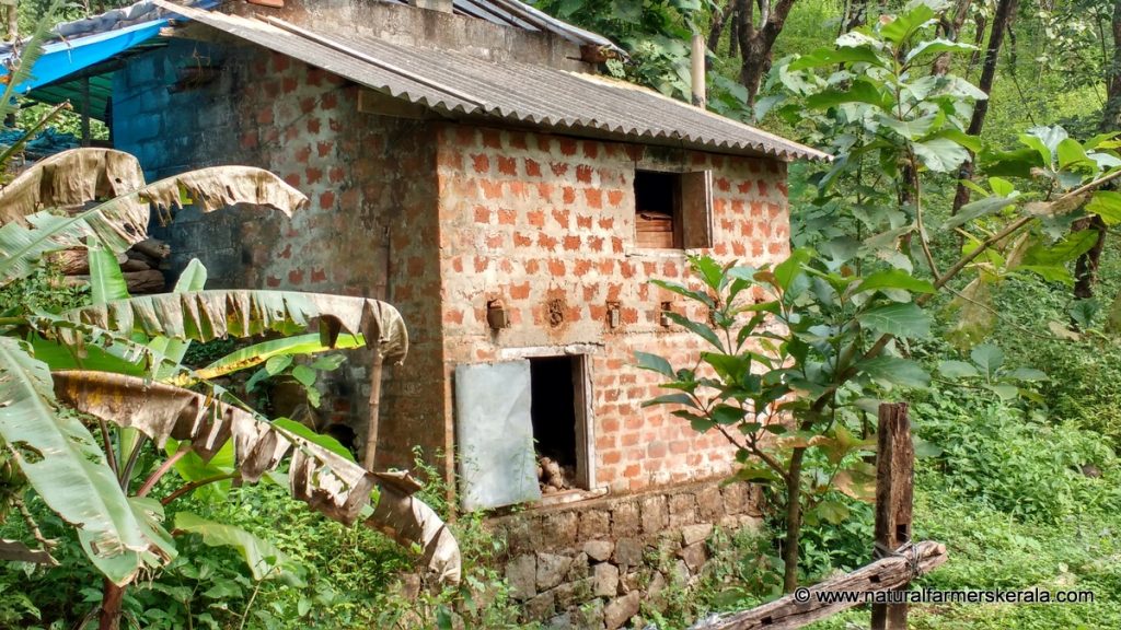 Buy Whole Garcinia Cambogia - Malabar Tamarind (Kudam Puli) - Natural ...