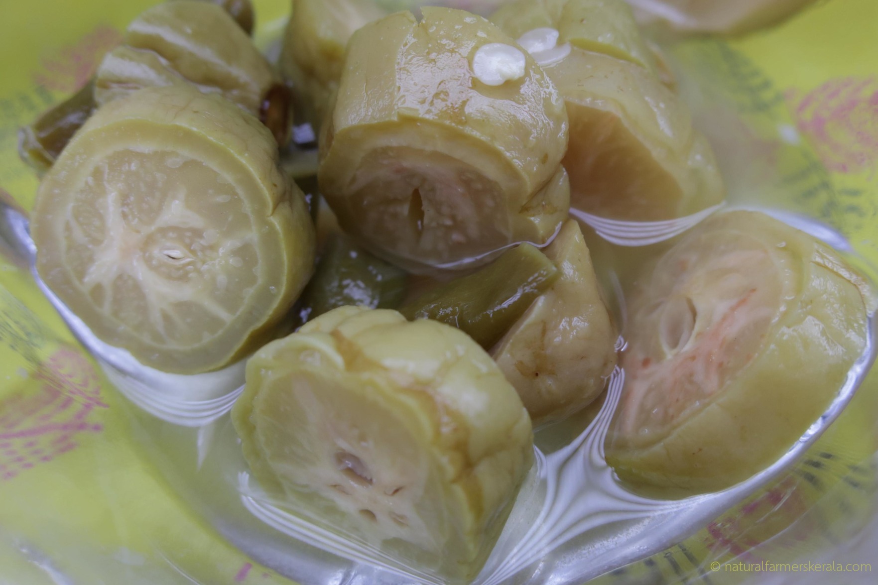 ambazhanga_pickle__000044_IMG_3341 – Natural Farmers Kerala