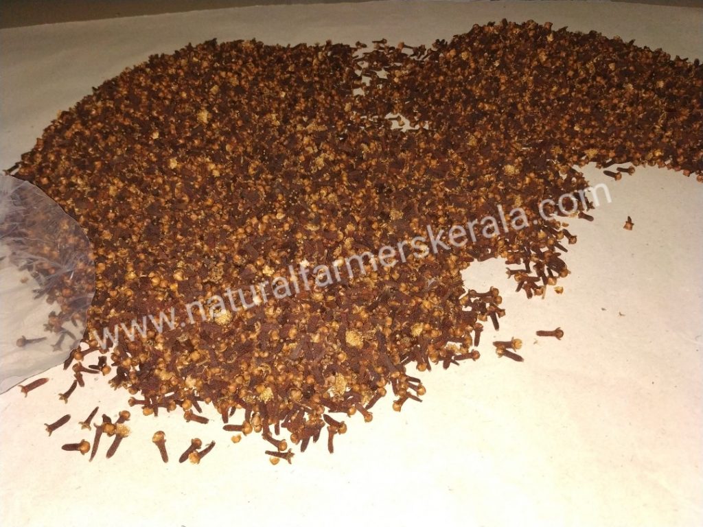 Whole Cloves (Syzygium aromaticum) - Natural Farmers Kerala
